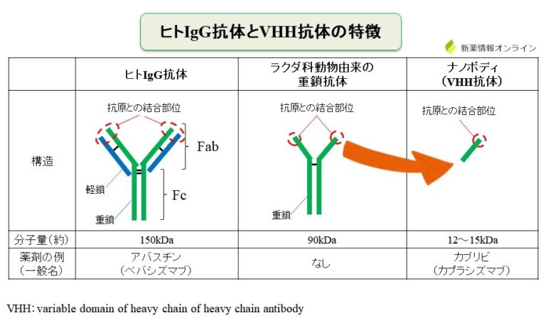 カブリビ（カプラシズマブ）の作用機序【TTP】 - 新薬情報オンライン